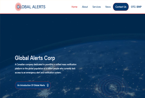 Portfolio | Danstring Technologies - Our Completed Projects